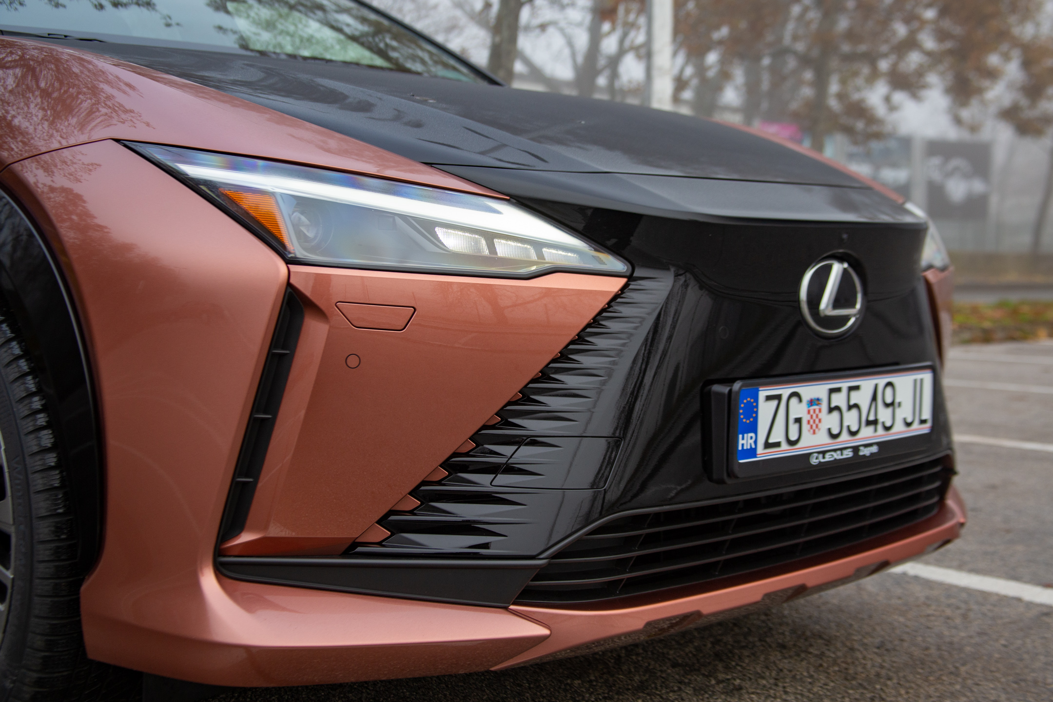 Lexus RZ450e Direct4 TEST / Testirali smo... / Testovi / Vidiauto ...