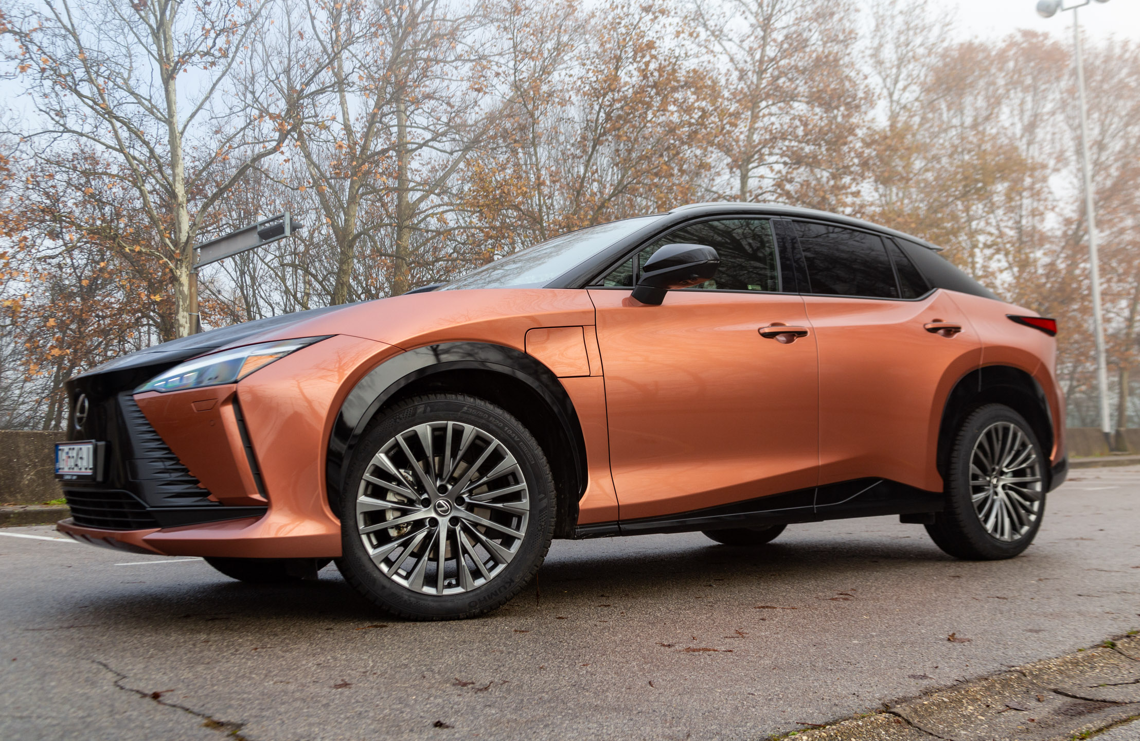 Lexus RZ450e Direct4 TEST / Testirali smo... / Testovi / Vidiauto ...